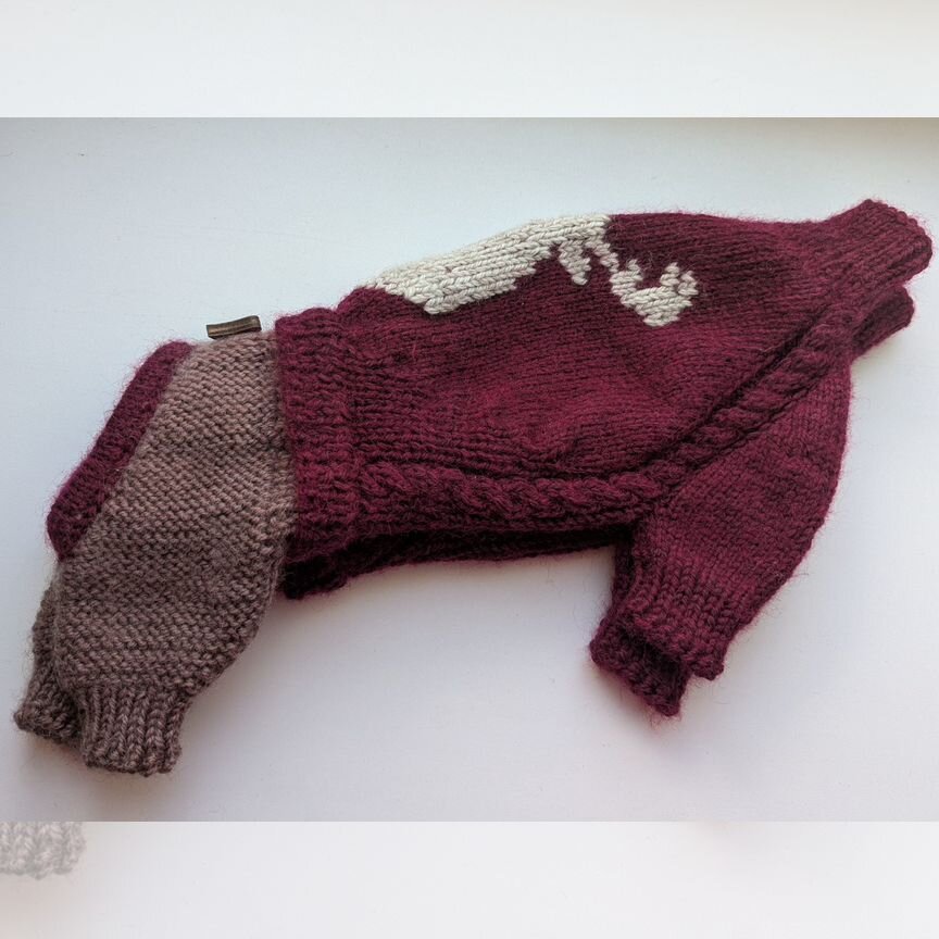 Комбинезон для маленькой собаки