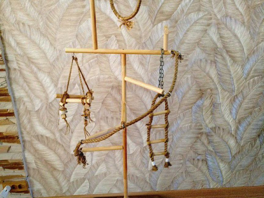 Присадка для попугая