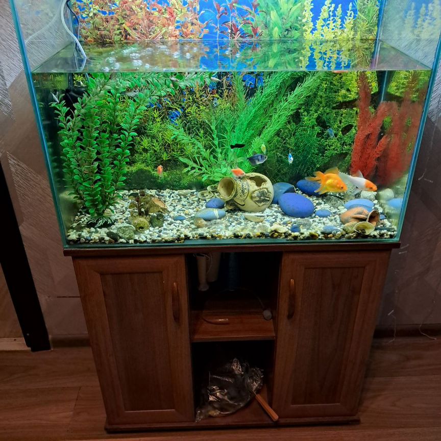 Аквариум с тумбой бу 140 л