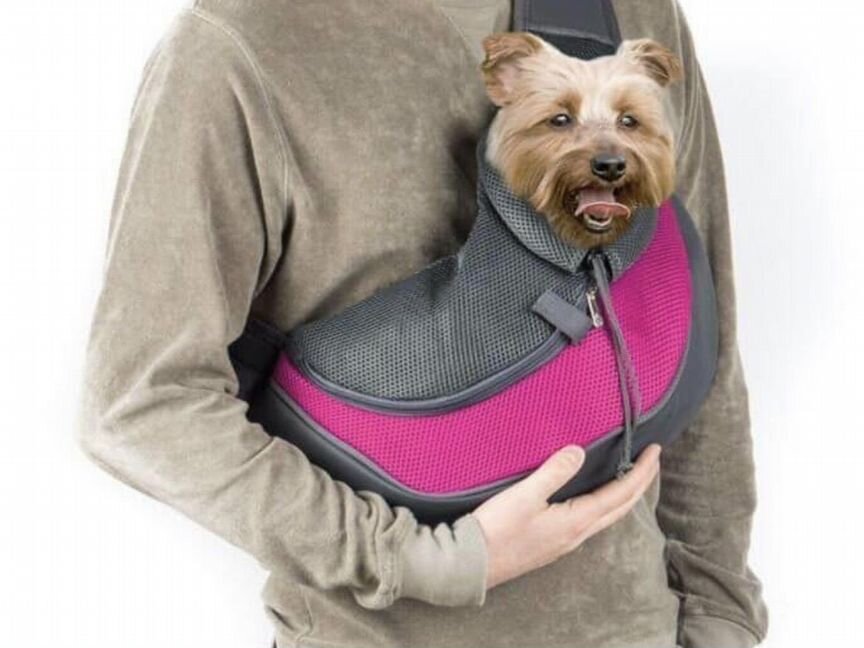 Сумка-переноска EBI Crazy Paws Sarah для собак