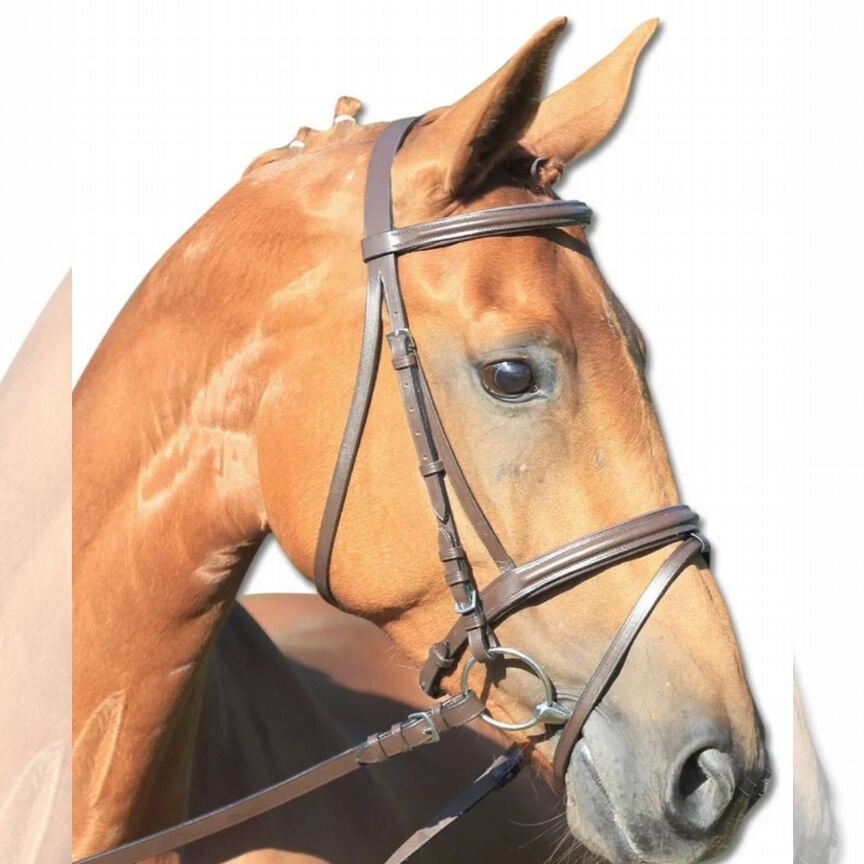 Товары для животных