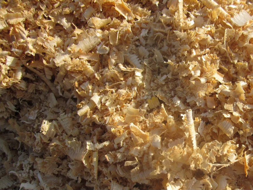 Стружка древесная(опилки): хвоя, бук