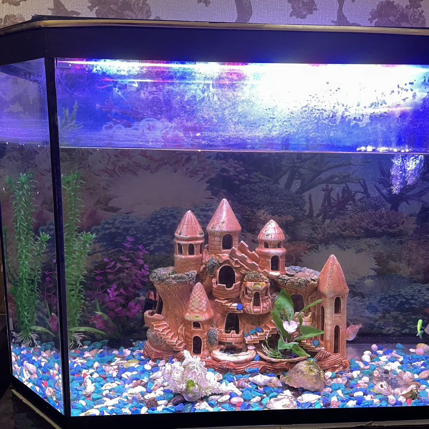 Аквариум с тумбой 100л