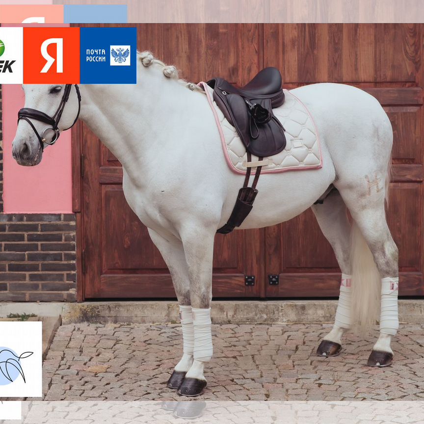 Бинты Desert Rose от Equestrian Stockholm - Бежевый
