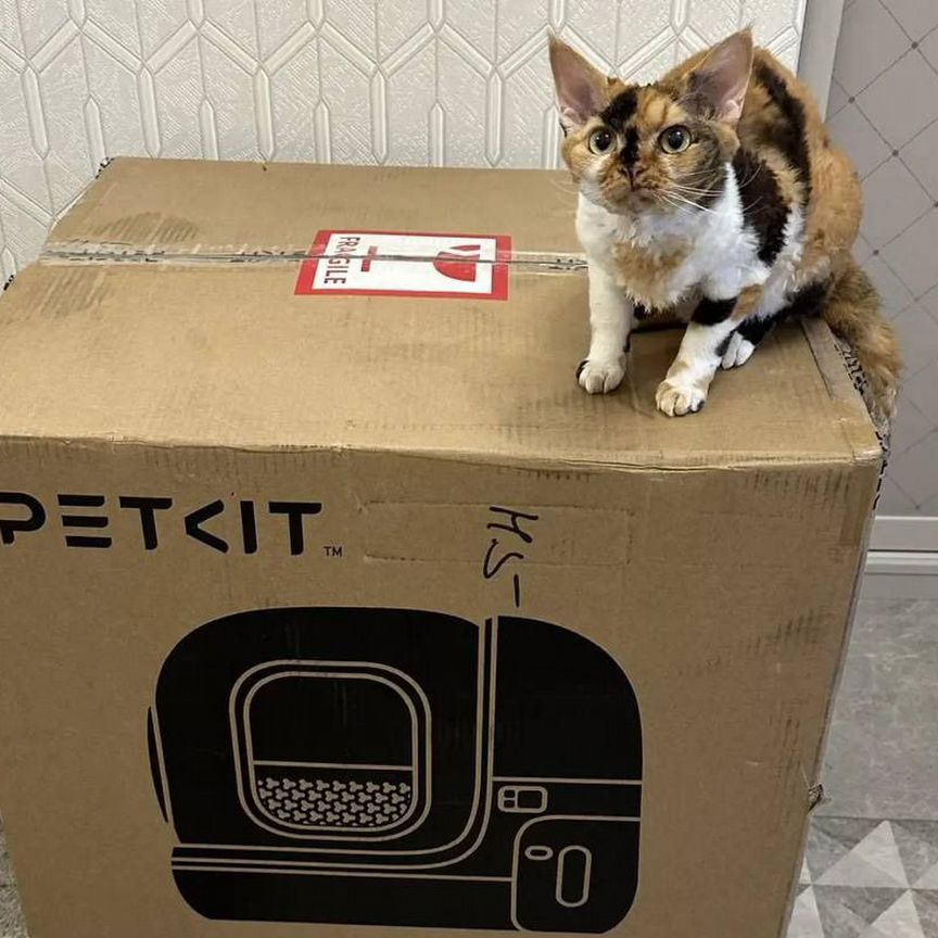 Автоматический лоток Petkit pura max 2, новый