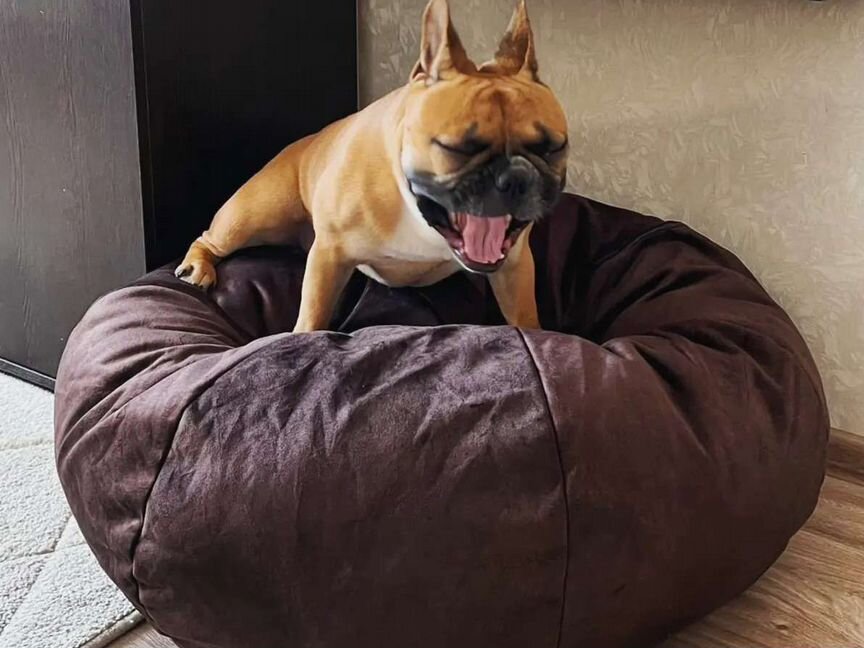 Пуф лежанка для собак