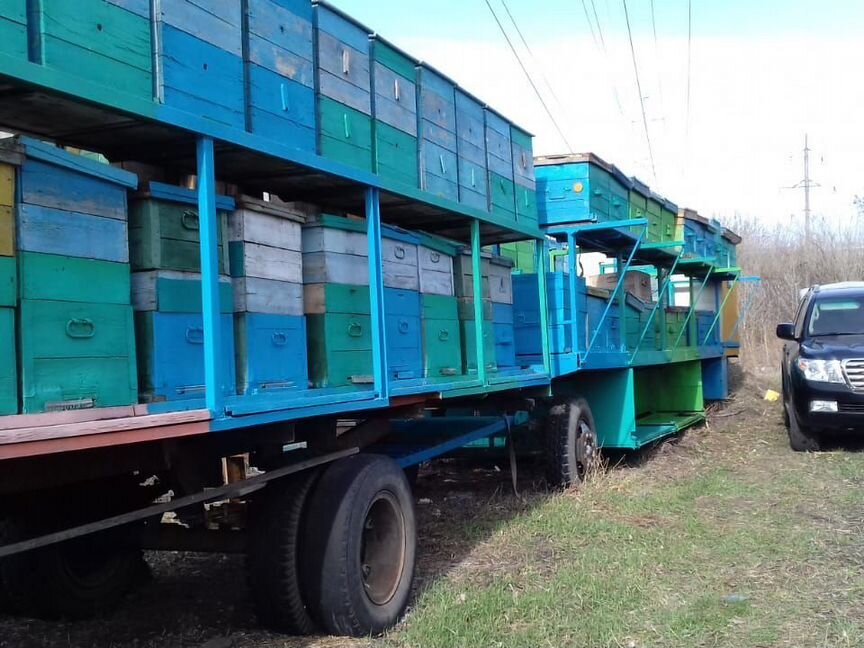 Пчеловодство