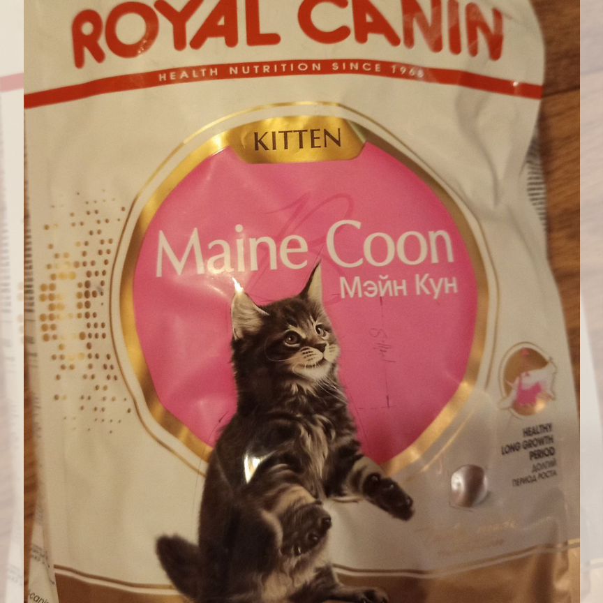 Корм для кошек royal canin