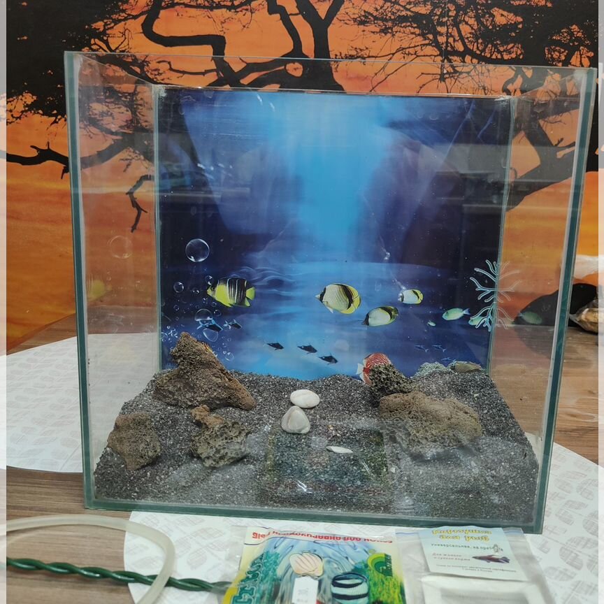 Аквариум на 12 литров