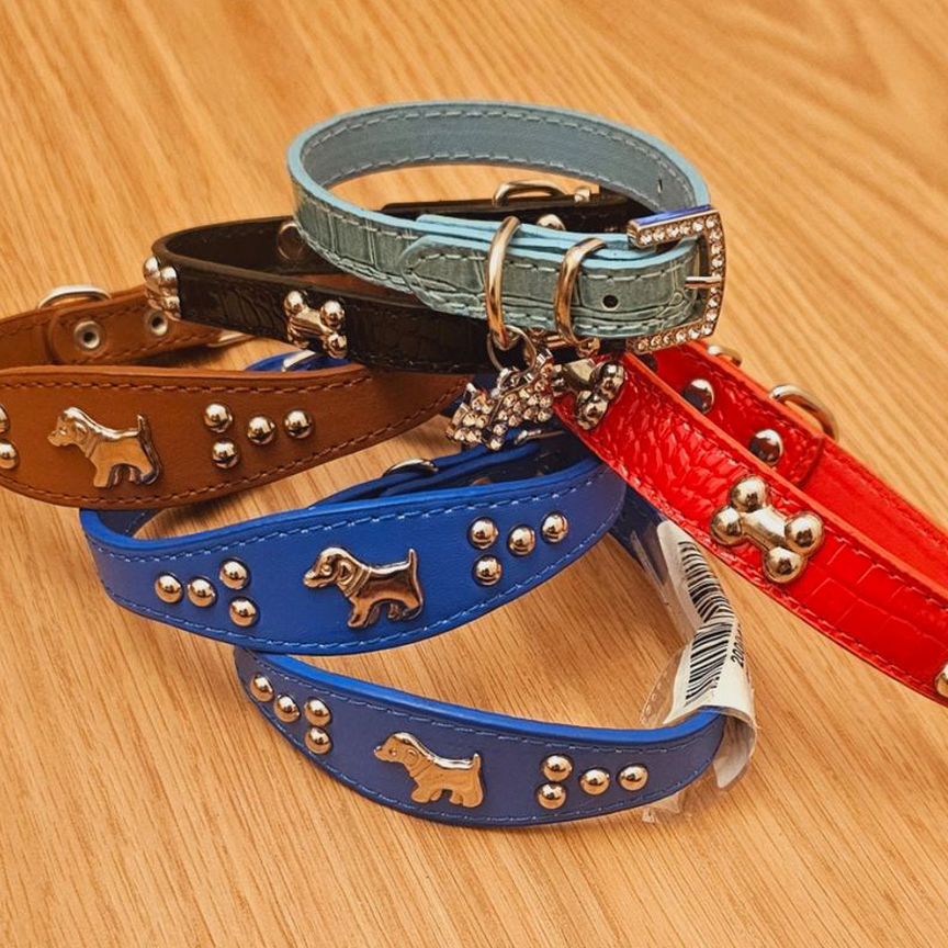 Ошейник, поводок, шлейка новые