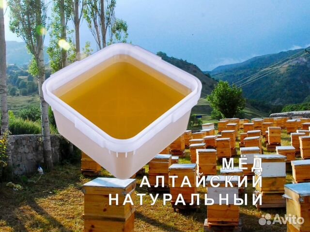 Мед натуральный из Алтая опт купить в Сочи | Товары для дома и дачи | Авито