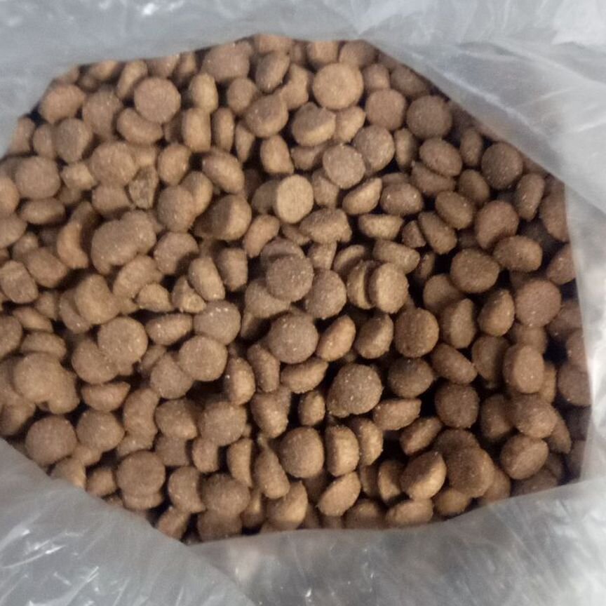 Корм для животных