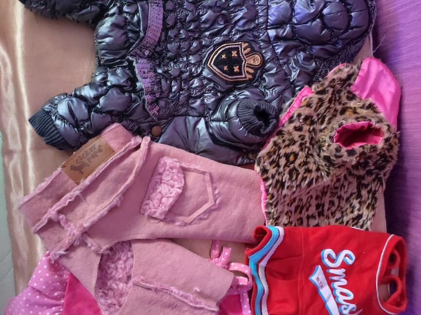 Одежда для маленьких собак