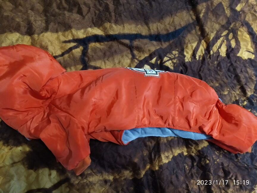 Теплый костюм на таксу или корги