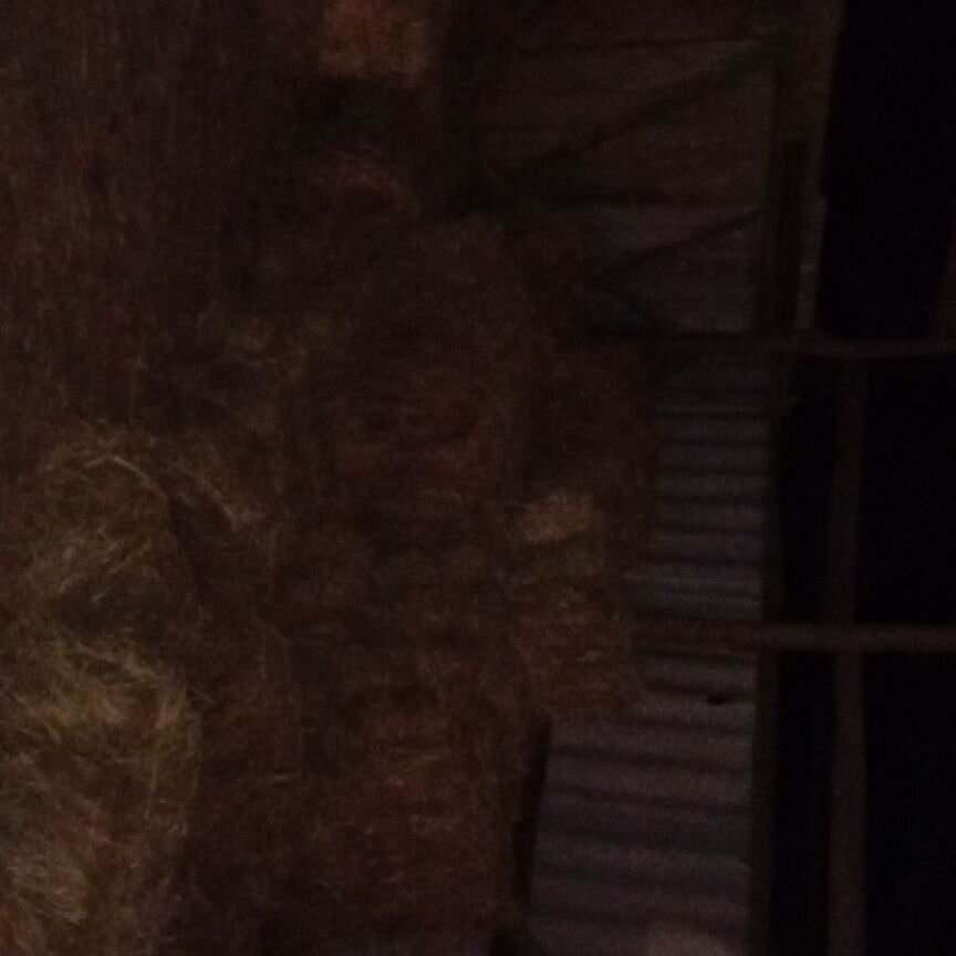 Сено в квадратных тюках