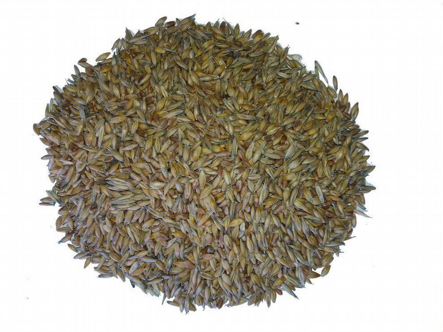 Зерносмесь, овёс,горох, пшеница