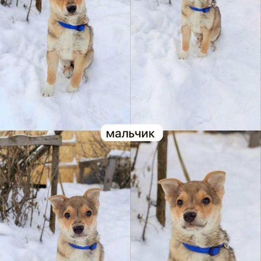Мальчик 3 мес