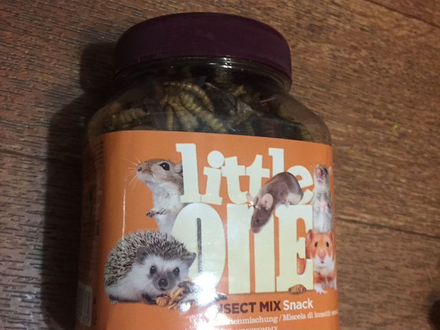 Смесь насекомых для грызунов. Little one