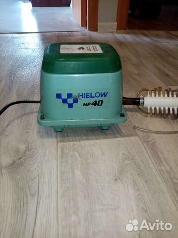 Аквариумистика