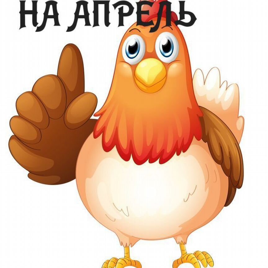 Инкубационное яйцо