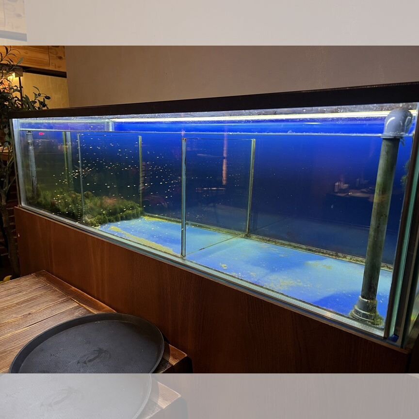 Аквариум для морепродуктов 300 л