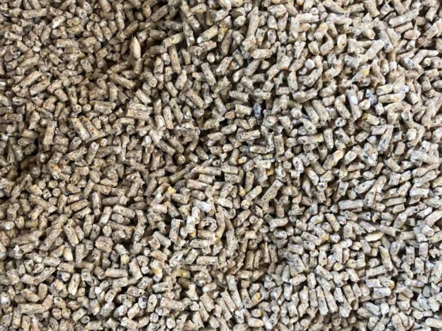 Комбикорм для кур-несушеки перепелок