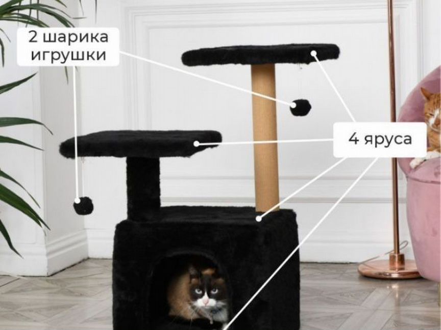 В хорошем состоянии. Кошке не понравился