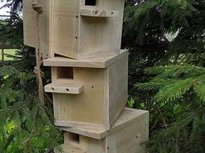 Бельчатник. Домик для белки