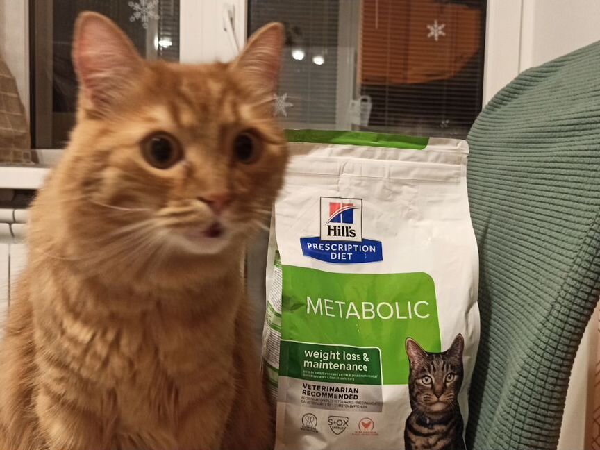 Кошачий корм Hills metabolic