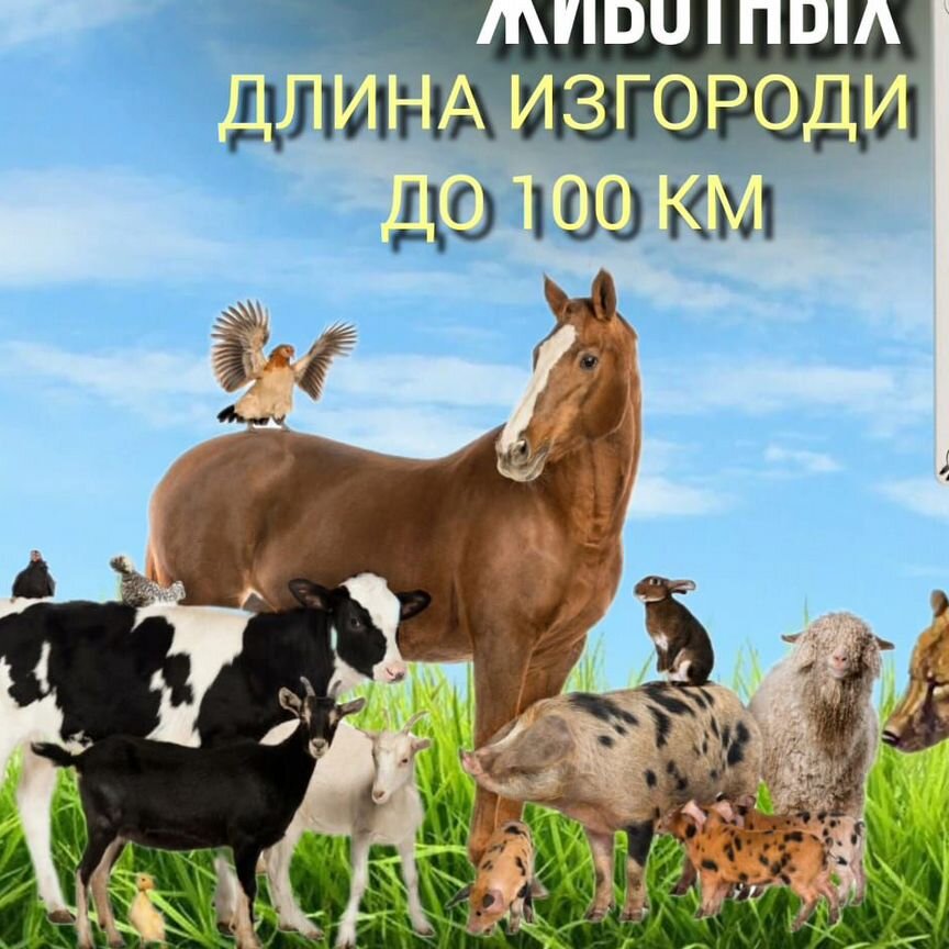Электропастух для животных в рассрочку