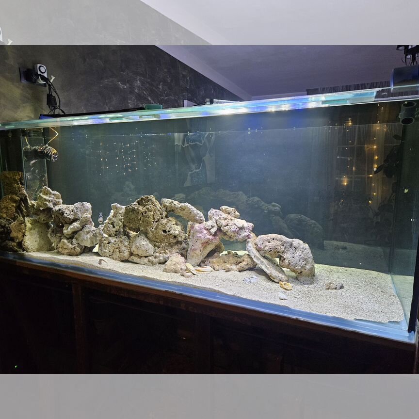 Морской аквариум комплект