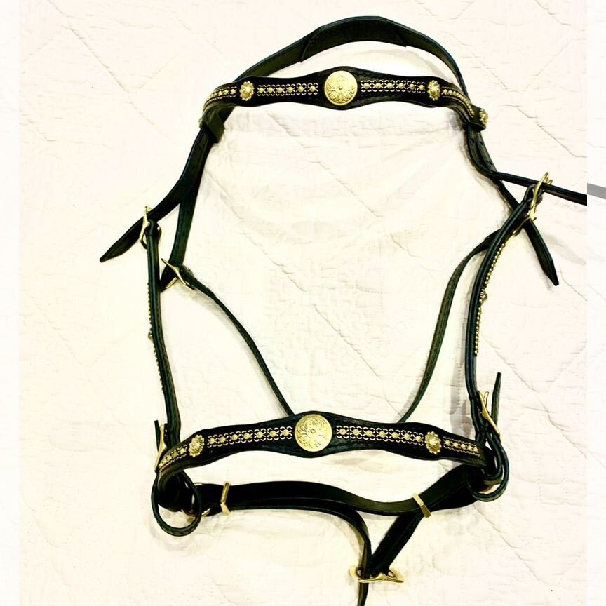 Оголовье для лошади