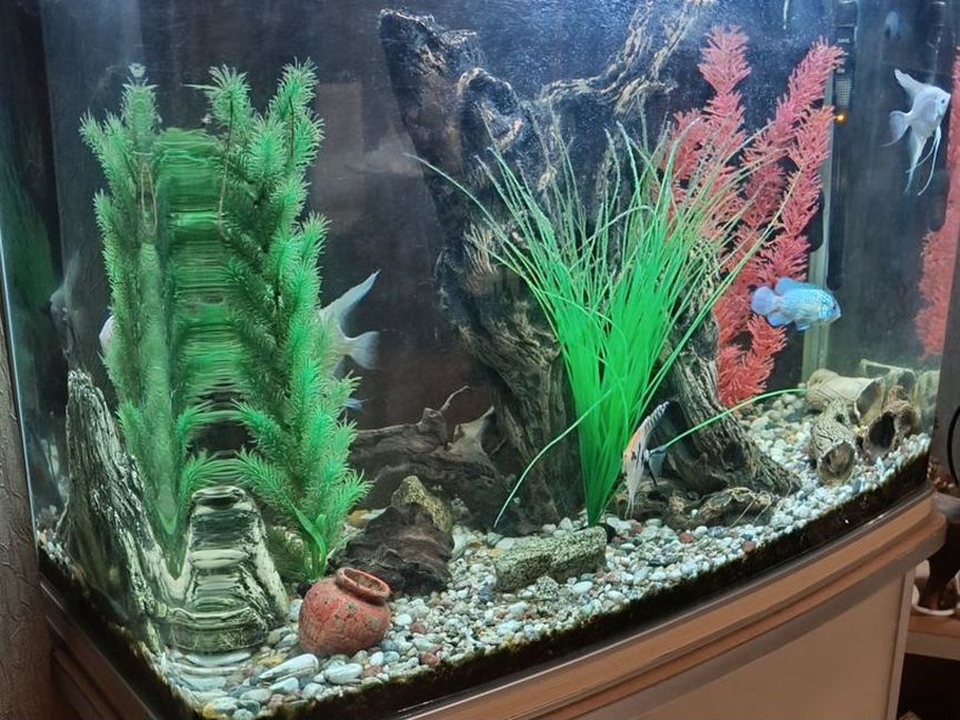 Продам аквариум jebo MR 3100 BF