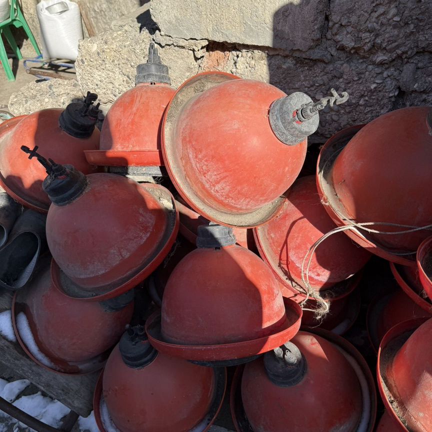 Оборудование для птицеводства