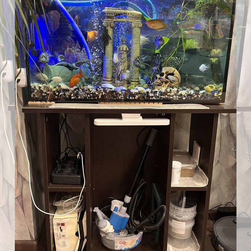 Готовый аквариум с тумбой
