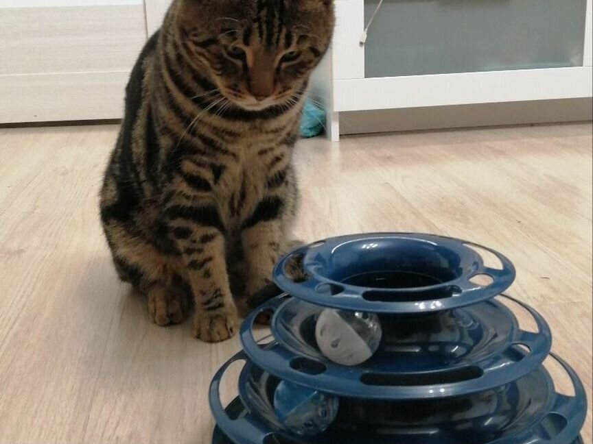 Игрушка для кота