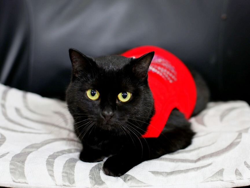 Милашка очень ждёт свою семью