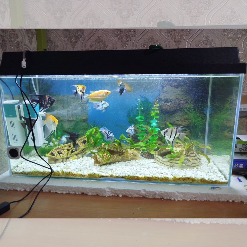 Аквариум с рыбками 116 л