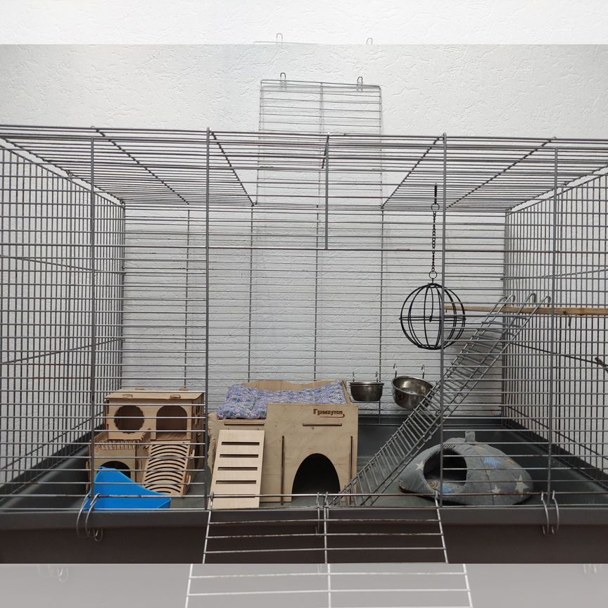 Клетка для грызунов очень большая