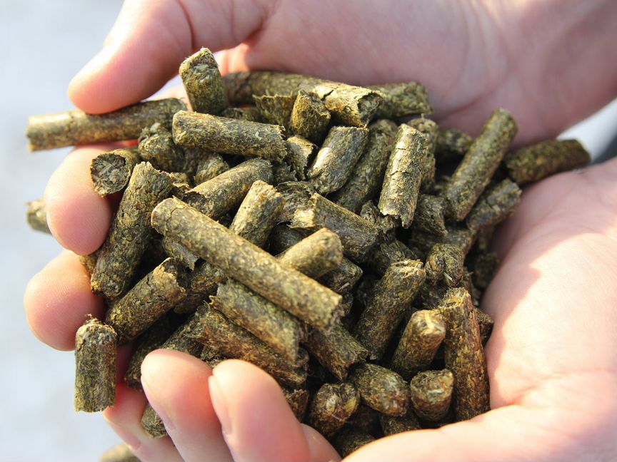 Люцерна гранулированная