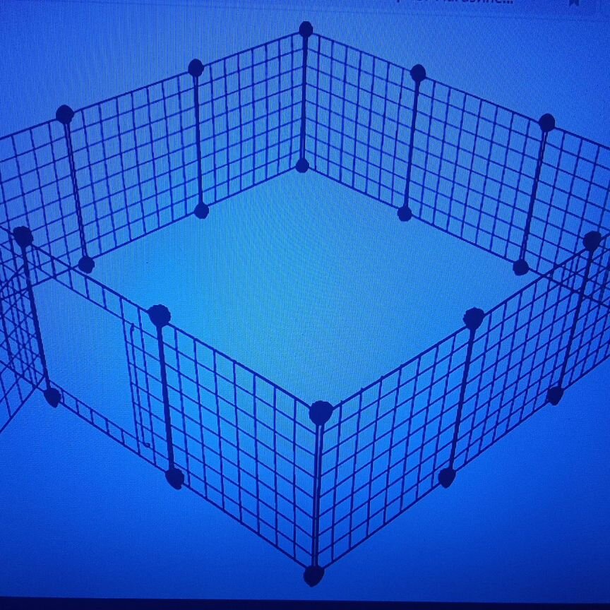 Вольер для щенков и котят