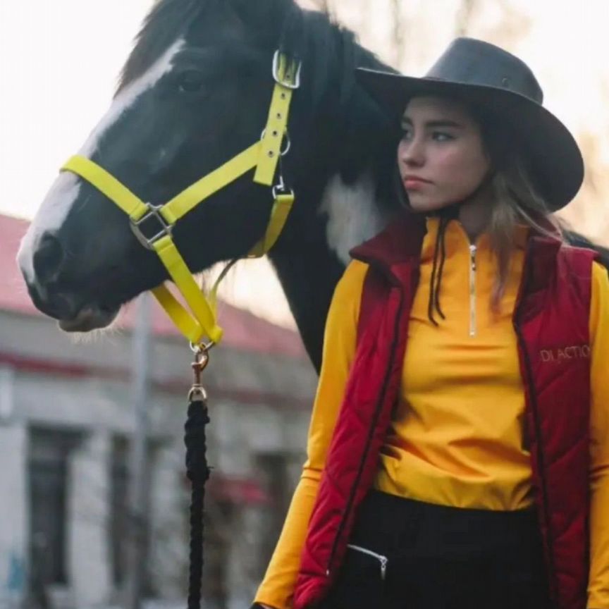 Недоуздок для лошади