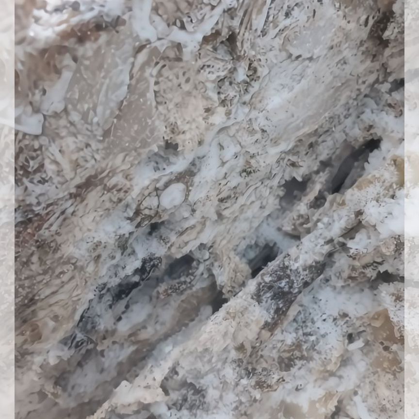 Мясо и кости для собак