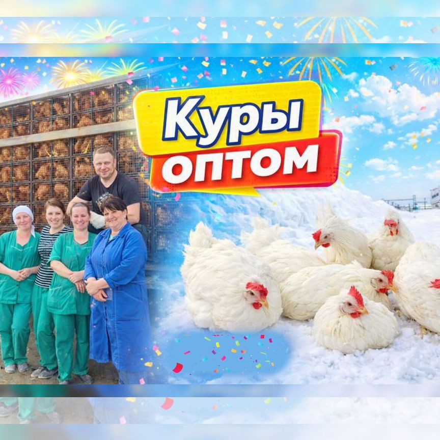 Птица оптом