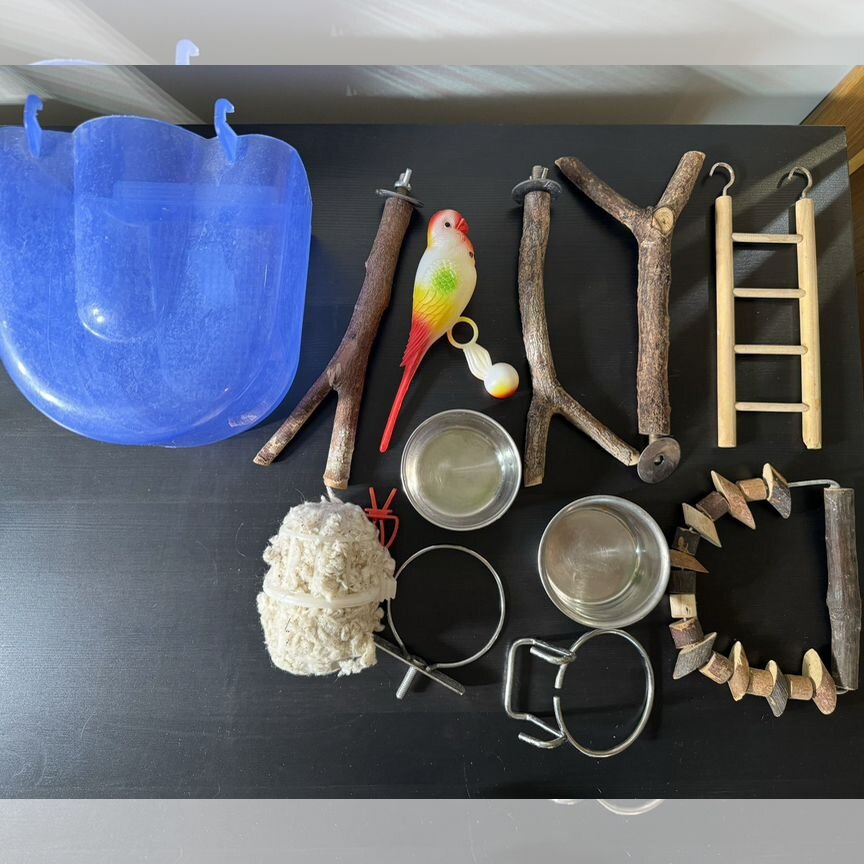 Для попугая и птиц бронь