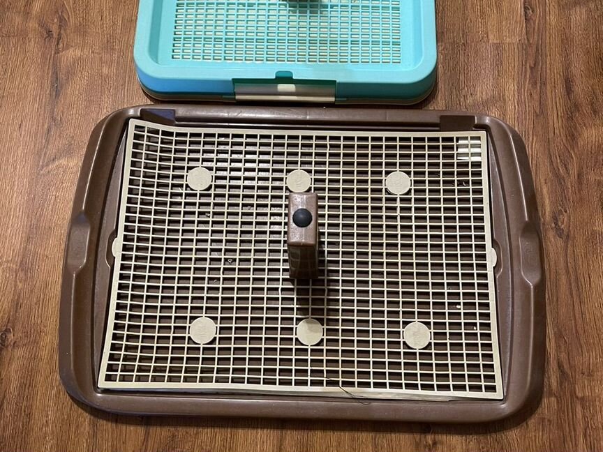 Лоток доя собак