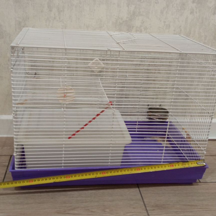 Клетка для грызунов бу