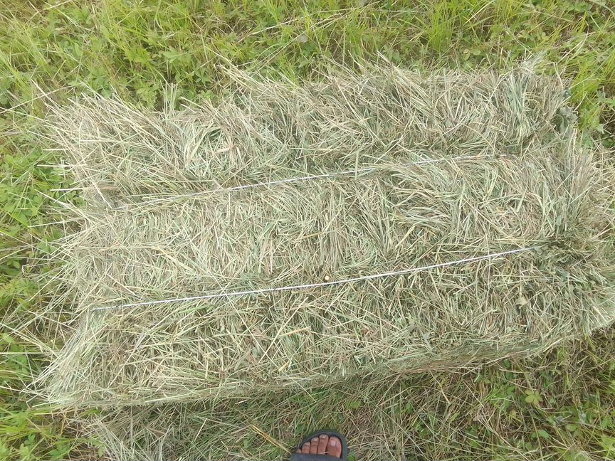 Сено в тюках