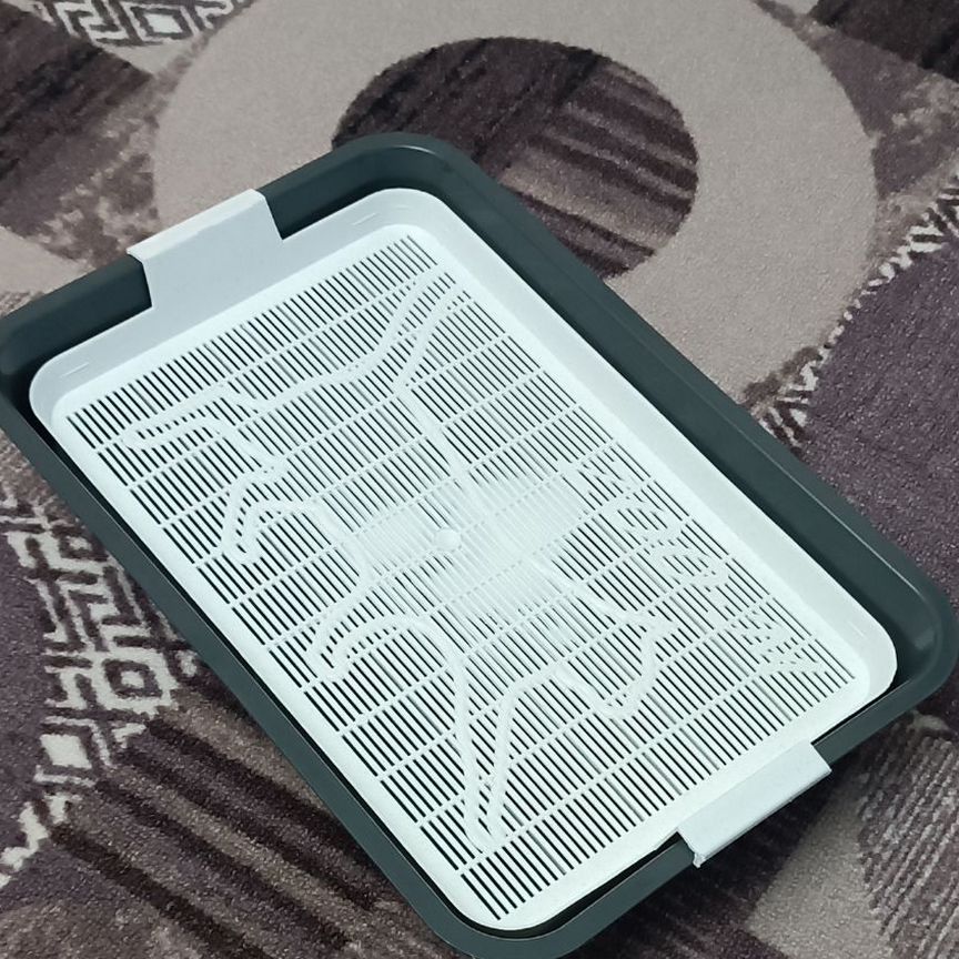 Кошачий лоток