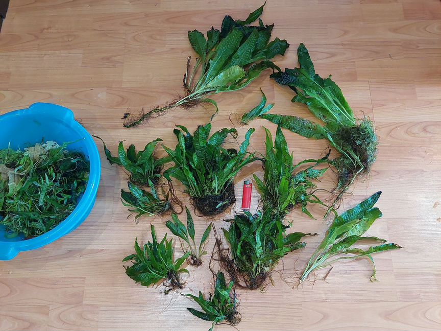 Украшение для аквариума